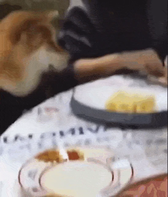 Day 1 : Starting NoFap | Scrolller