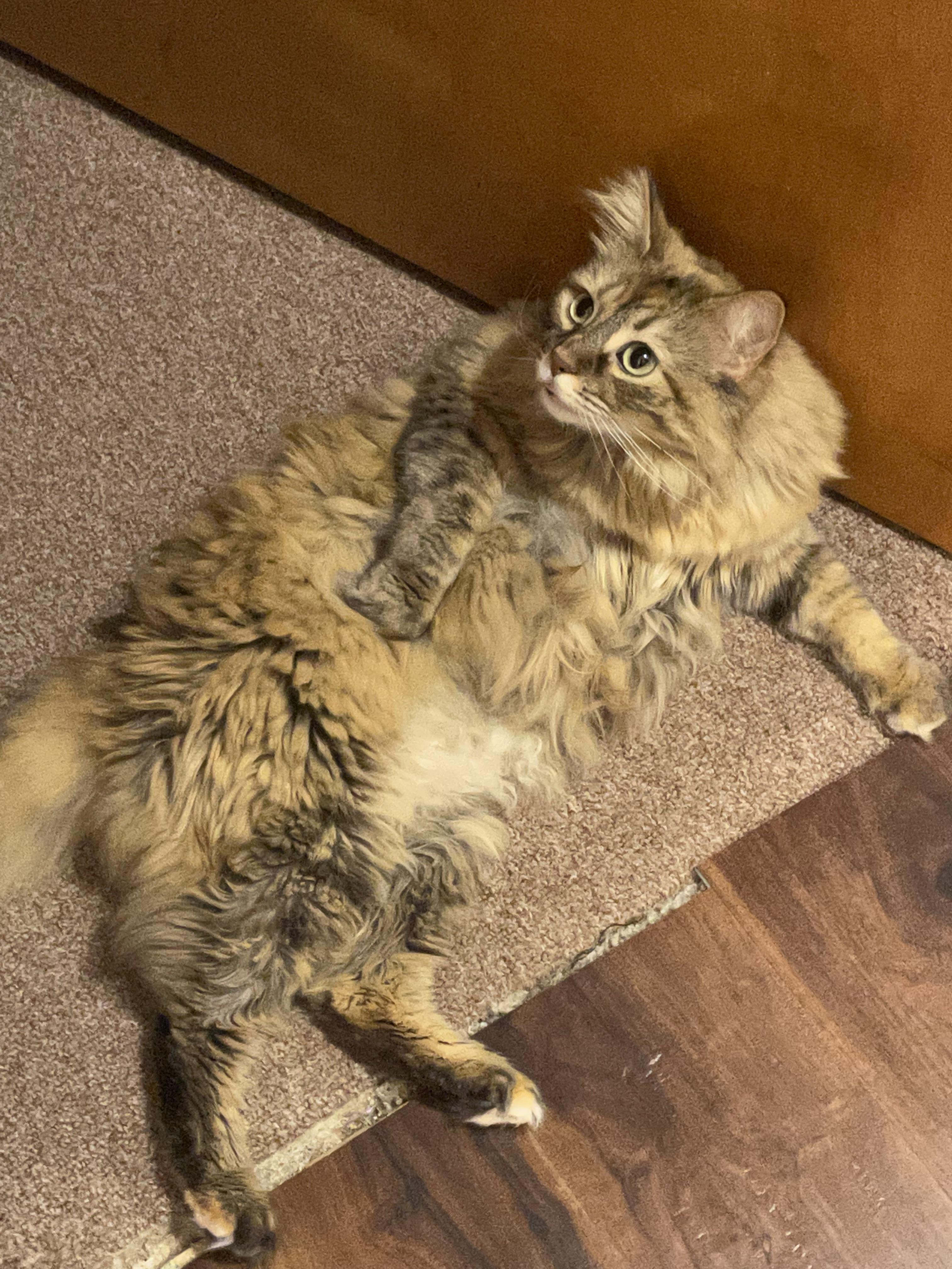 Strike a Pose | Scrolller