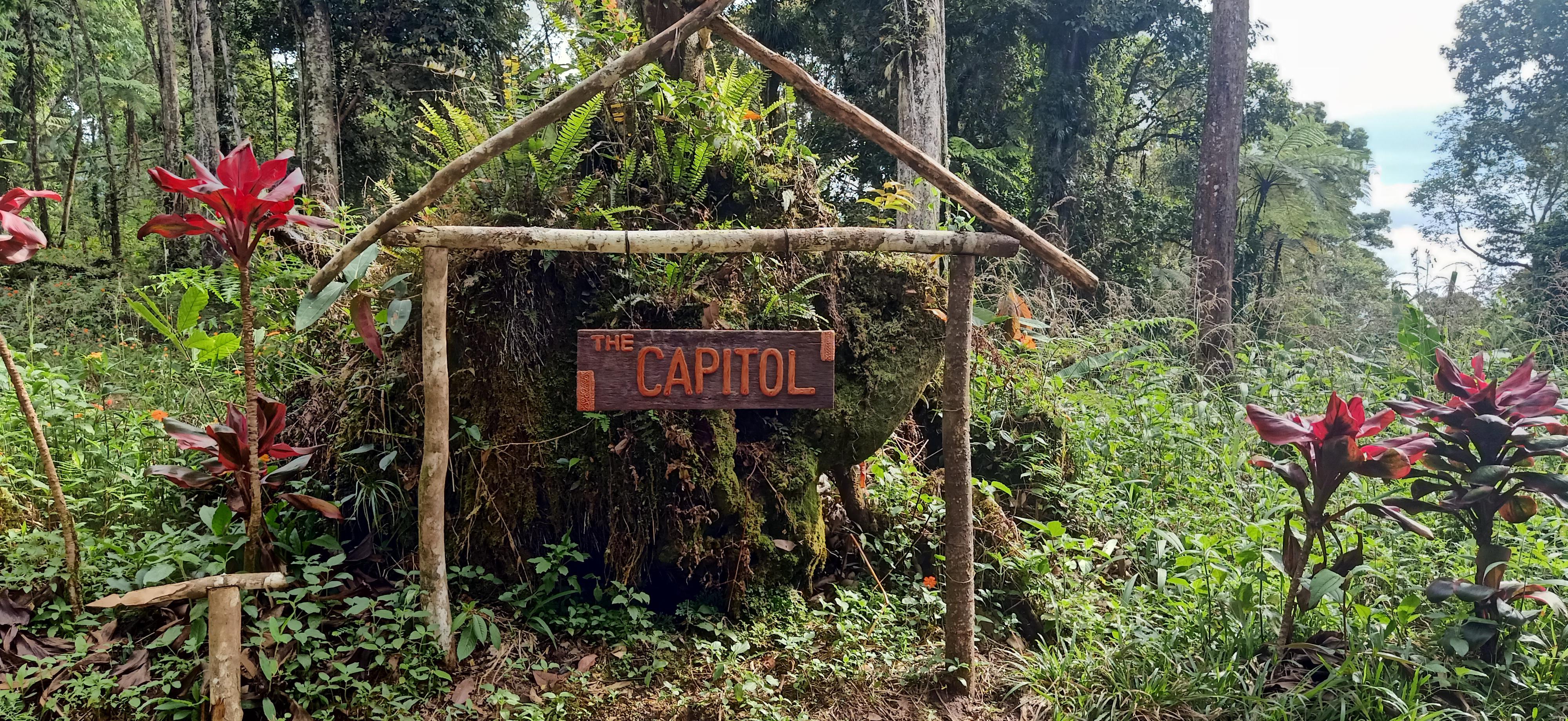 The Capitol | Scrolller