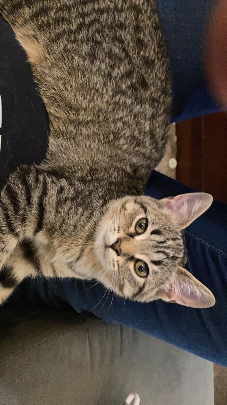 Sprained my back so my crack nursing staff is doing her best for me | Scrolller