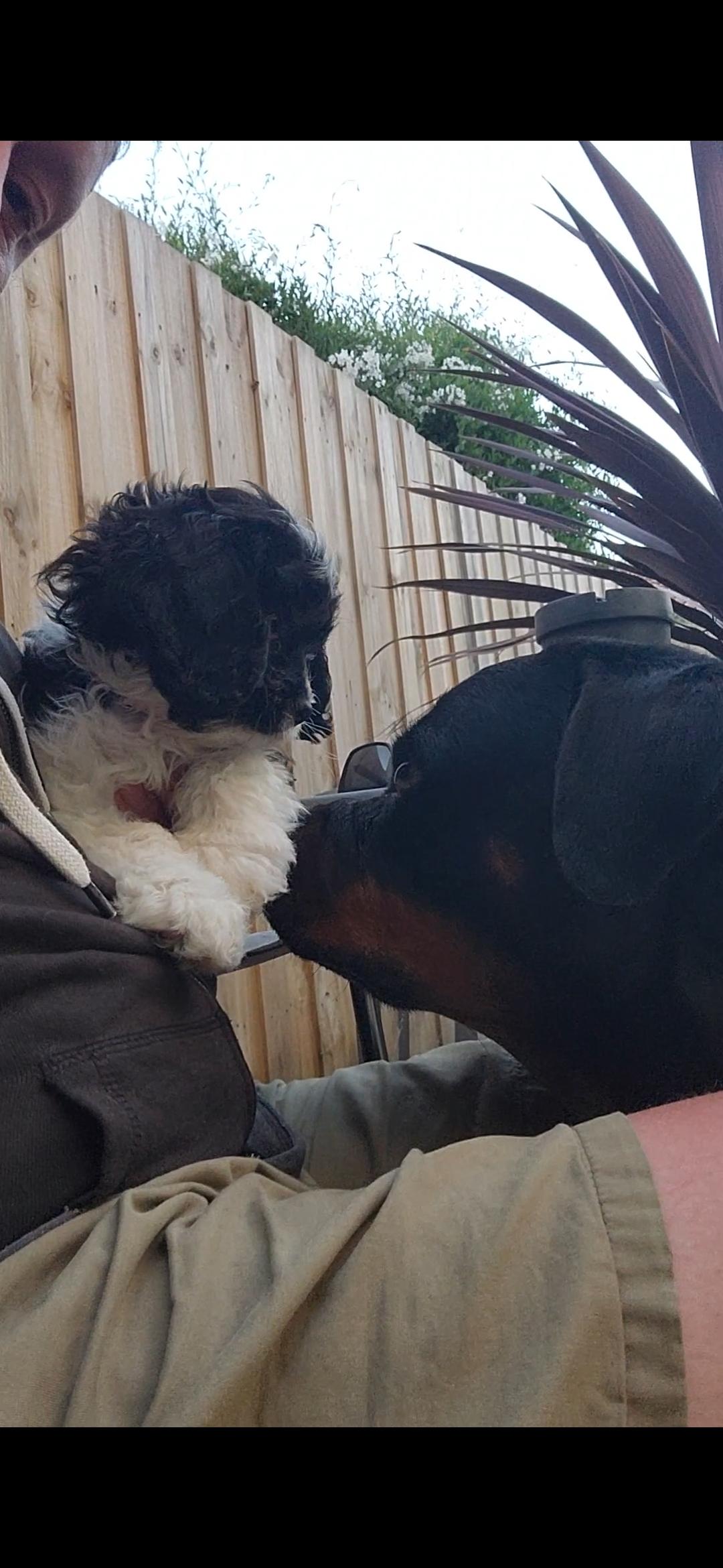 Advice please | Scrolller