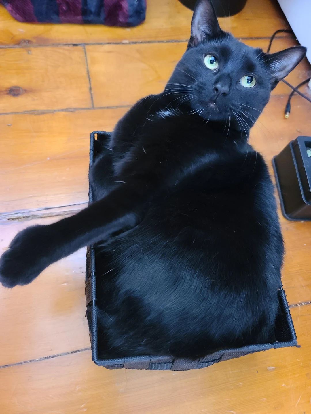 look, see? the box isnt too small.. no you cannot take it away. thank you, good day. | Scrolller