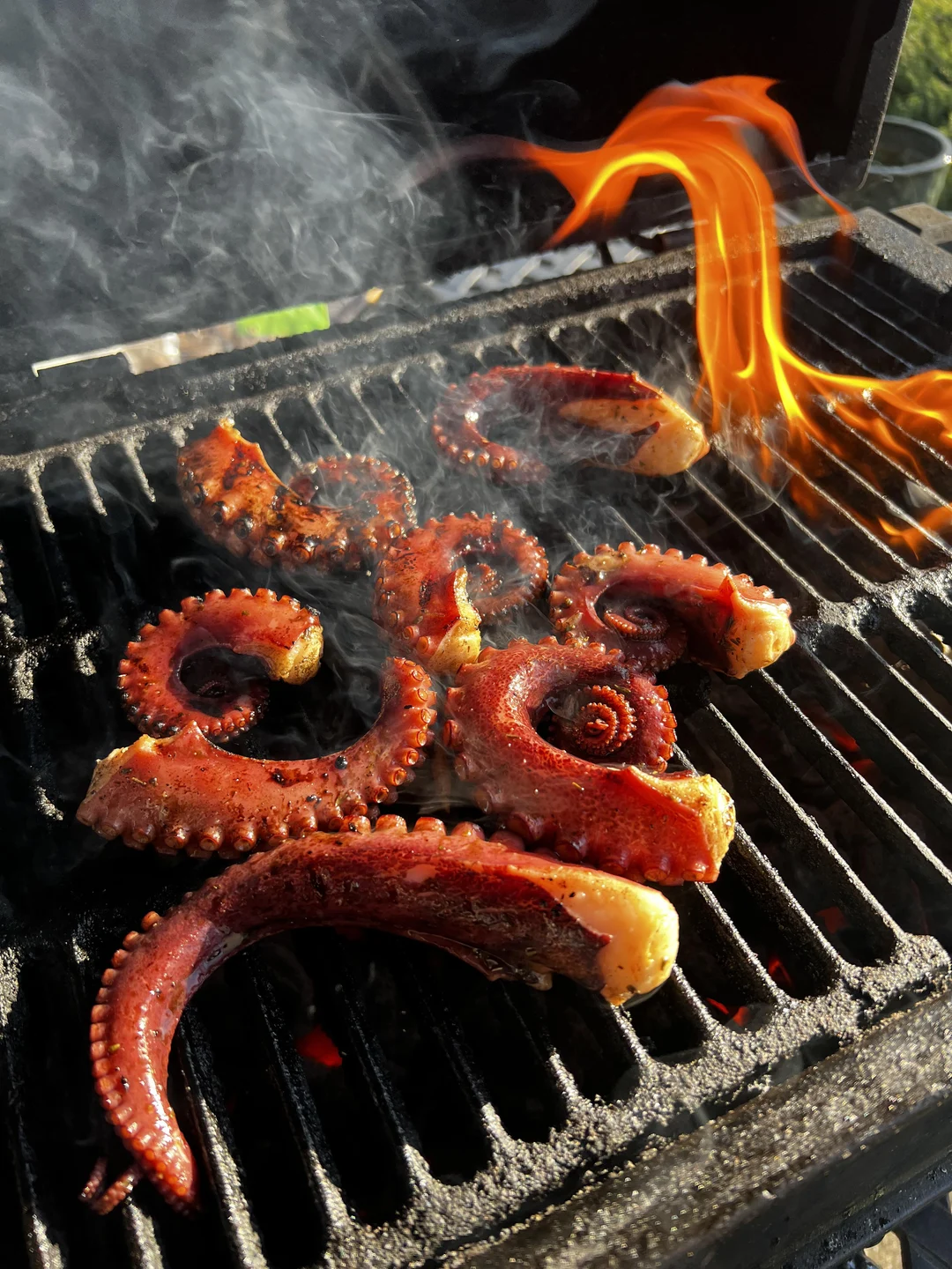 BBQ Octopus 🐙 | Scrolller