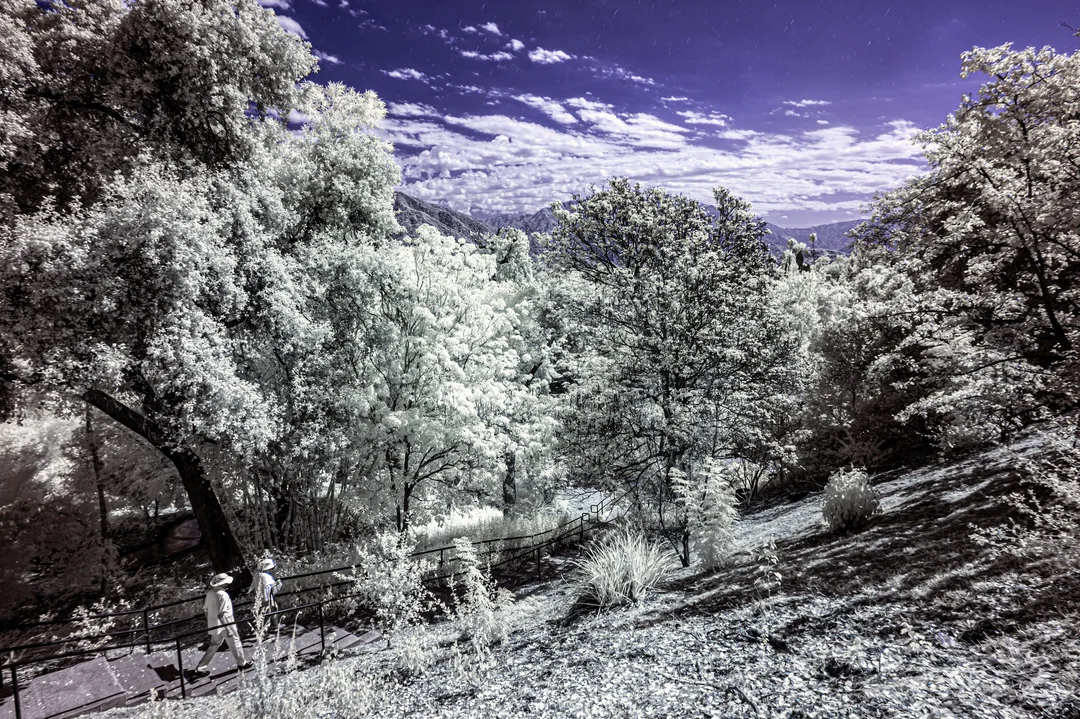 Hillside Trail | Scrolller