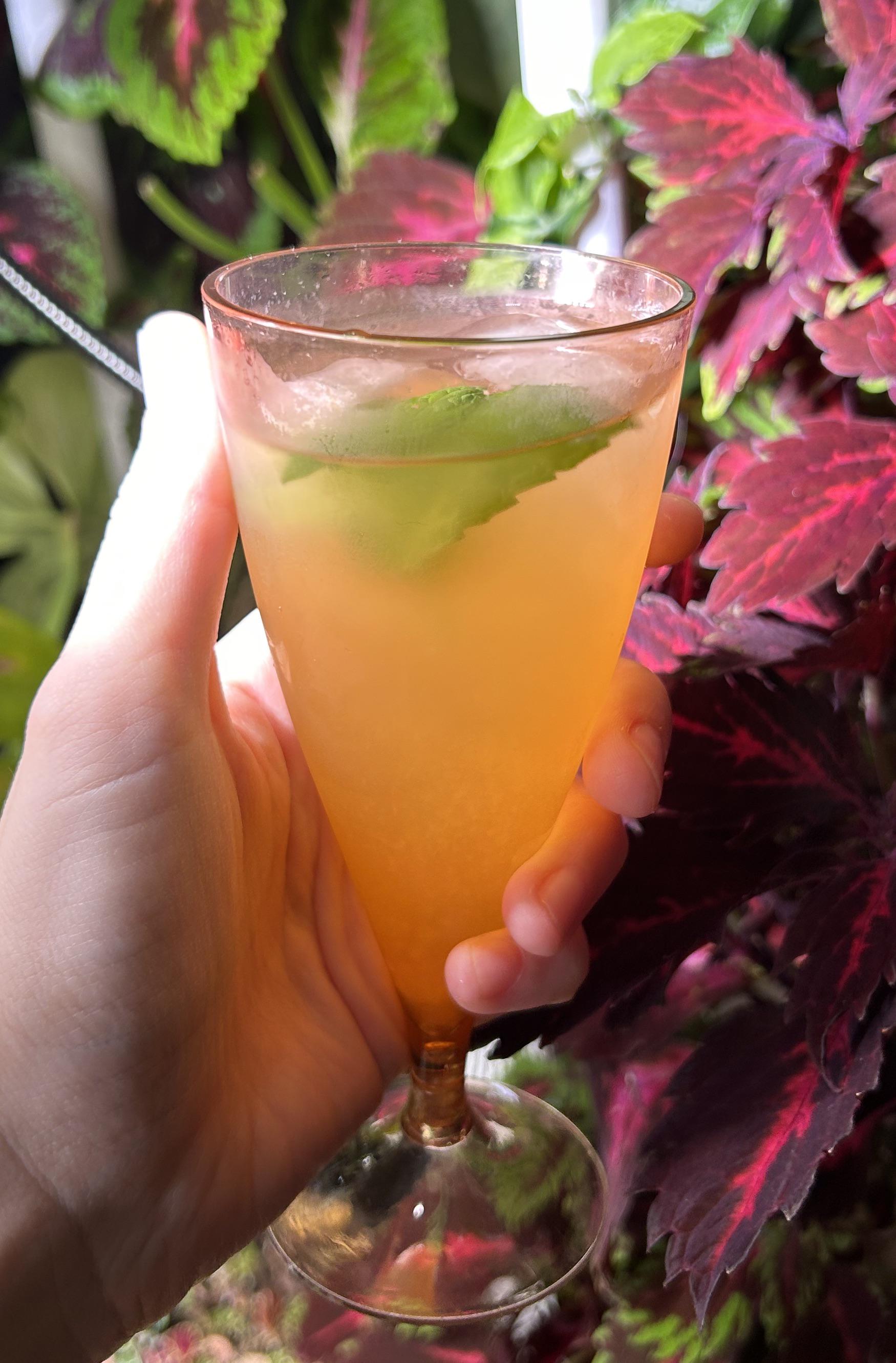 Mango Tango: I feel like it needs a little extra something else? | Scrolller