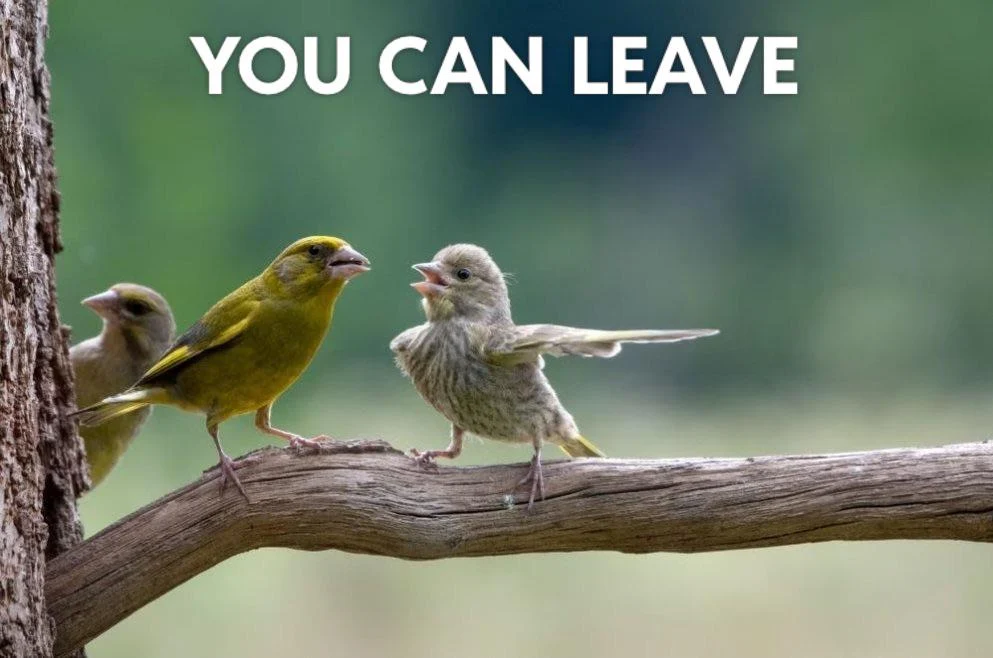 Meredith and Angie | Scrolller