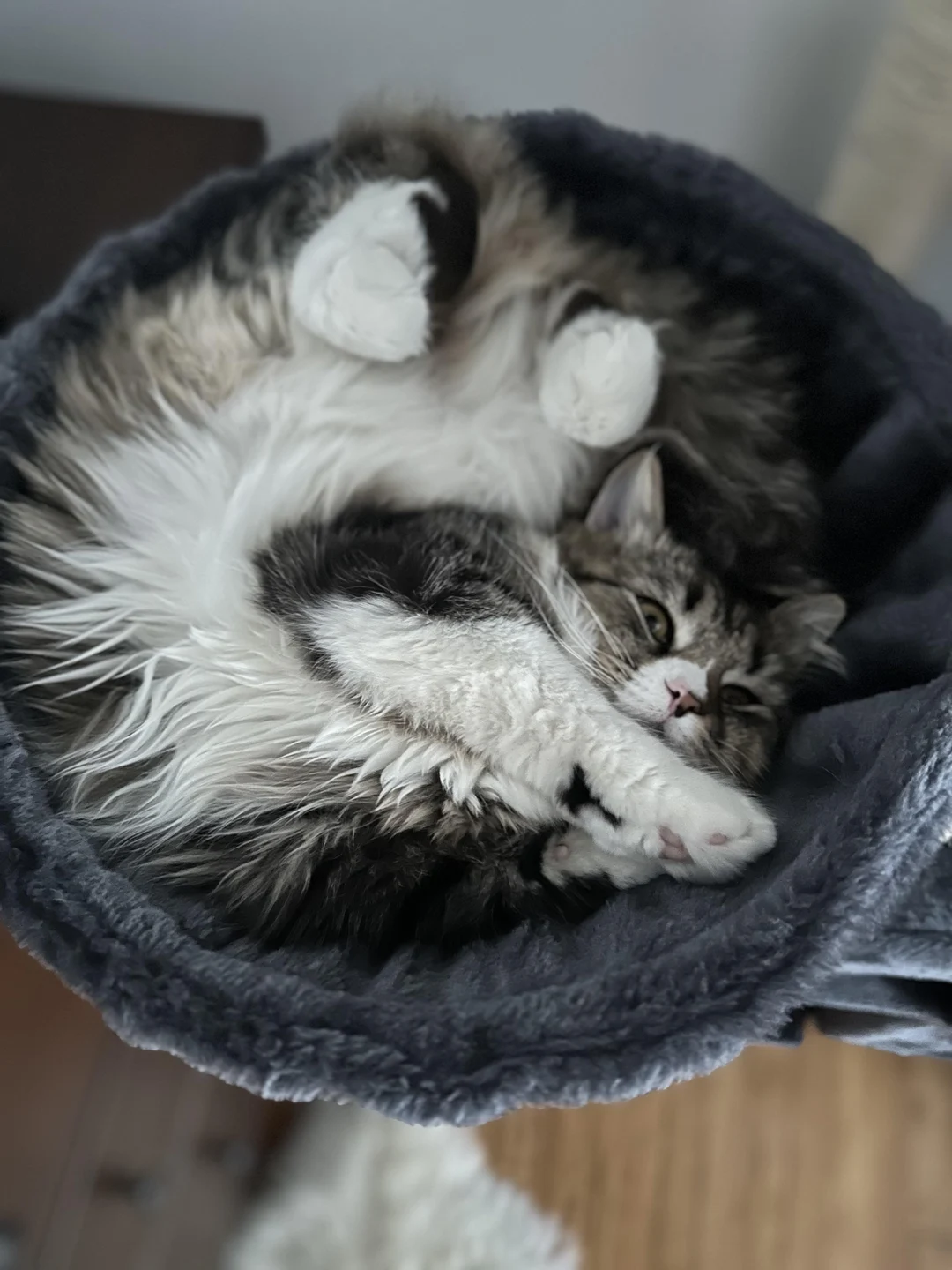 Strange pose | Scrolller