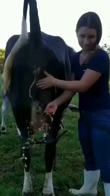 No words | Scrolller