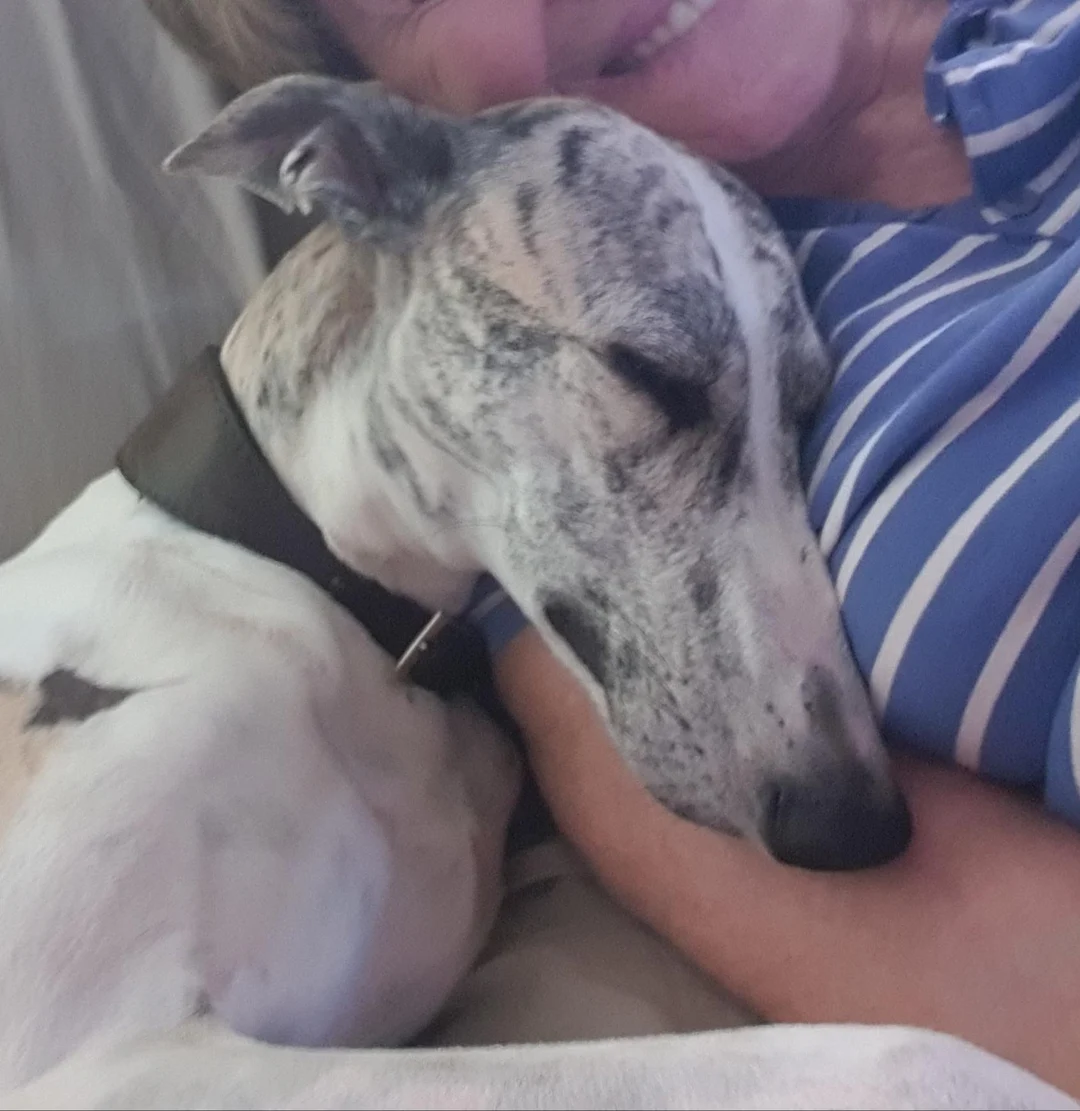 She loves to rest her head on my shoulder | Scrolller