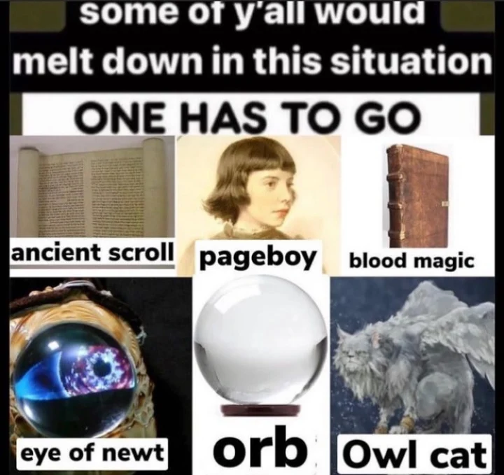 orb is the only correct answer 🤓 | Scrolller