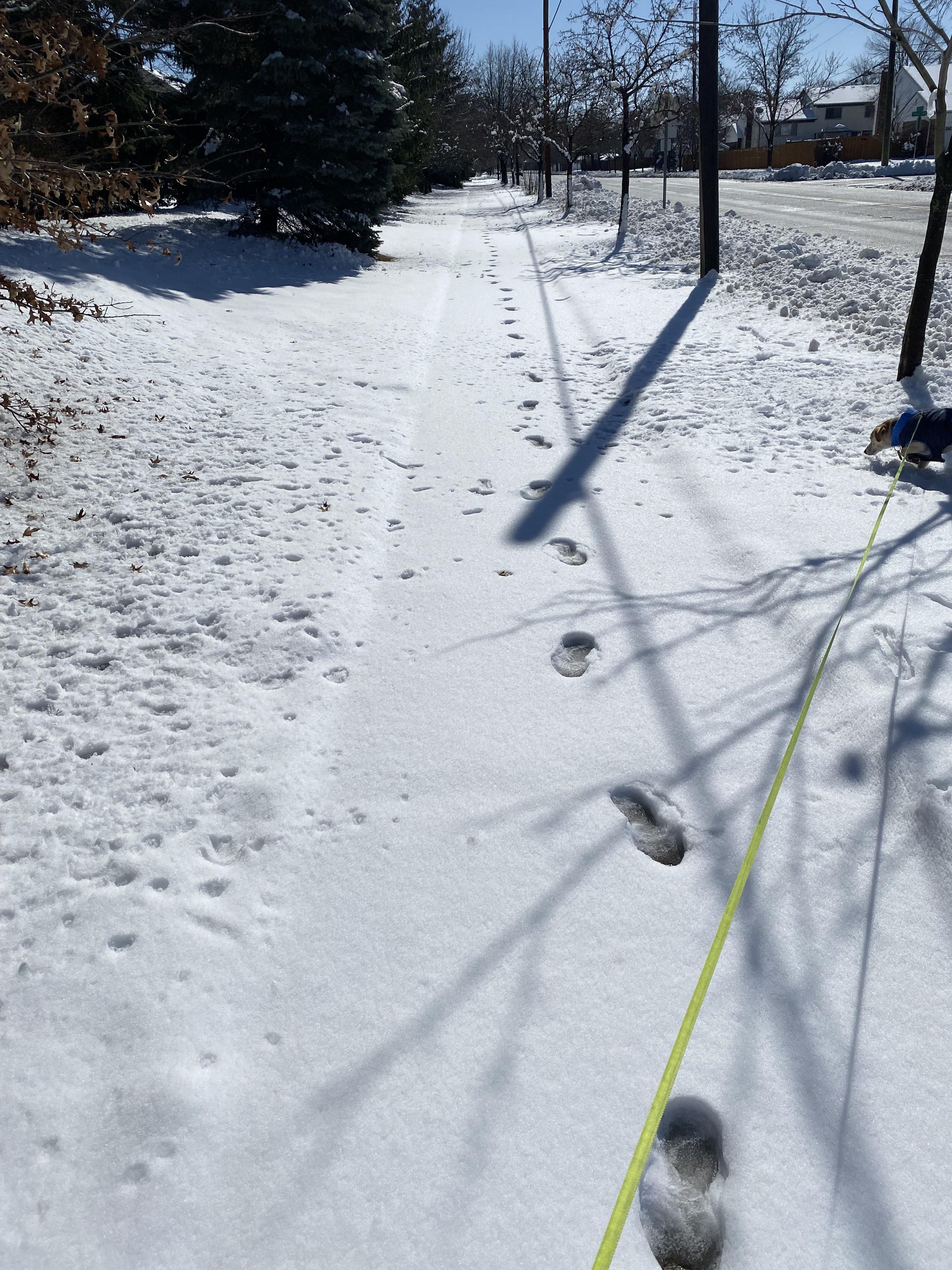 Trail of just one footstep | Scrolller