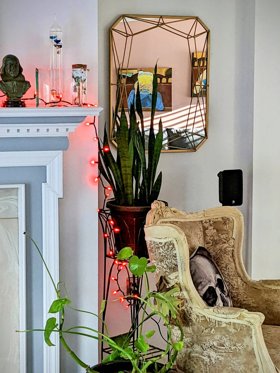 Not even a sick plant can mar my favorite corner. | Scrolller