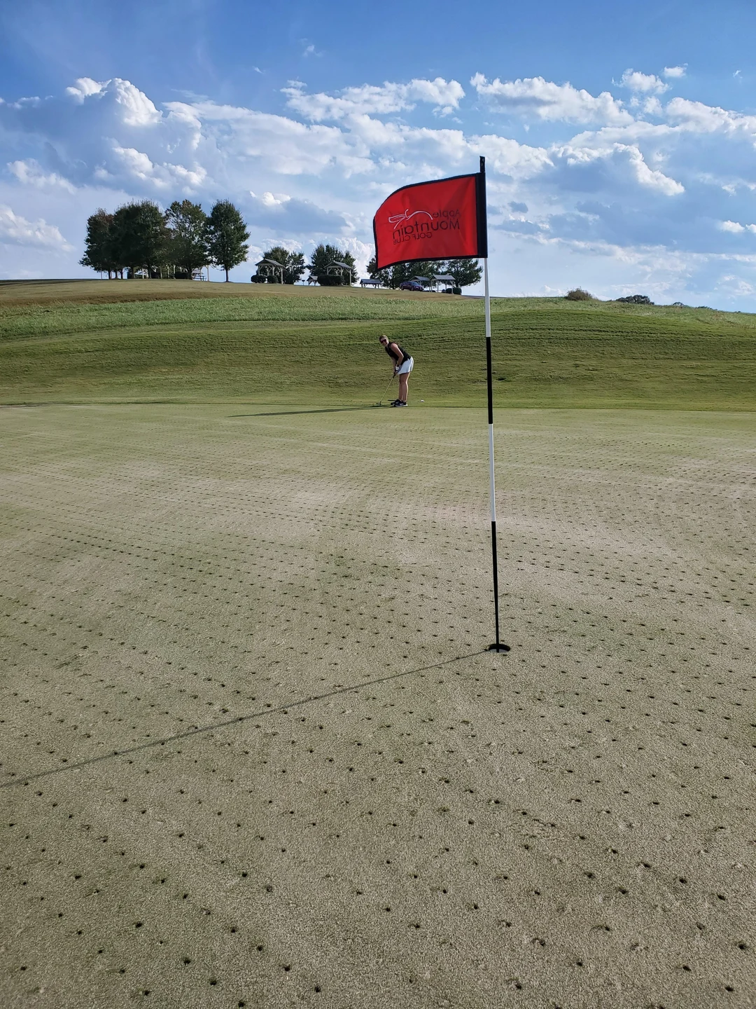 My wife just made a 20 yd putt on these greens. | Scrolller