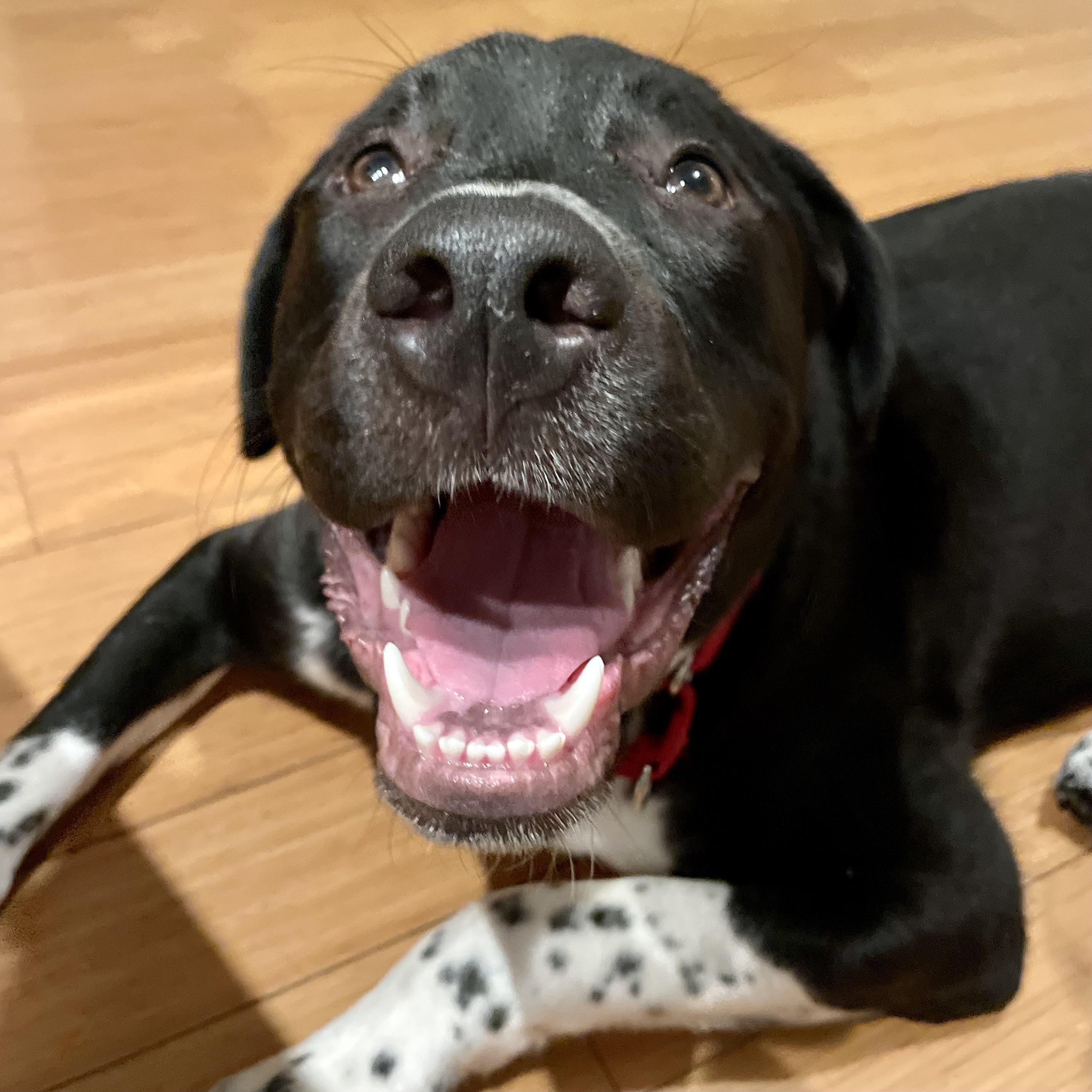 My happy boy! | Scrolller