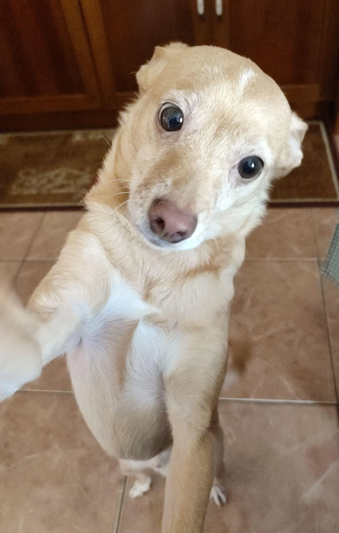 My Treasure | Scrolller