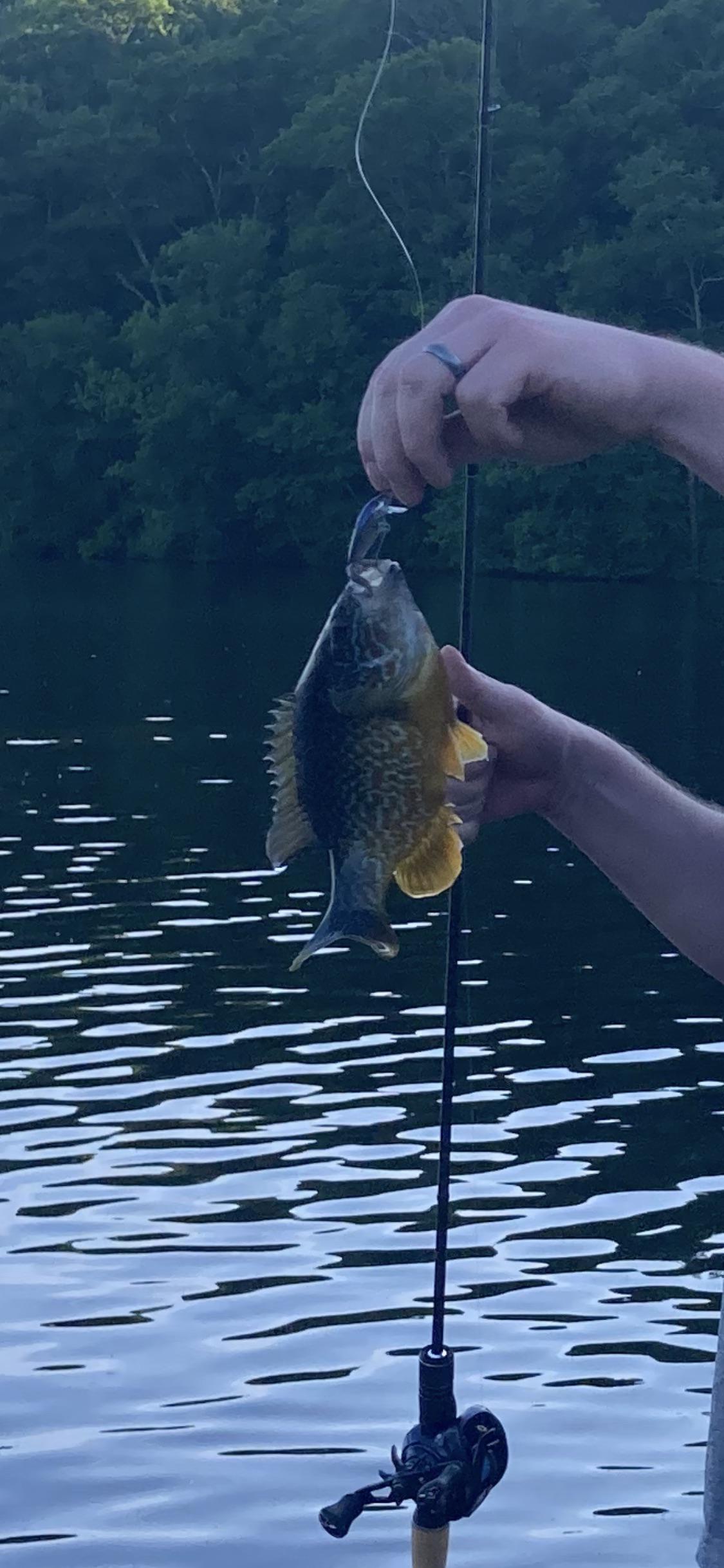 Confirmation? | Scrolller