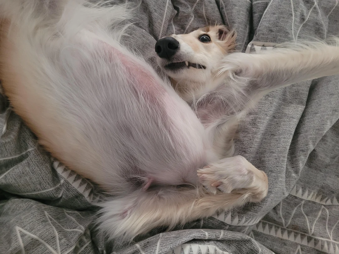 Very normal | Scrolller