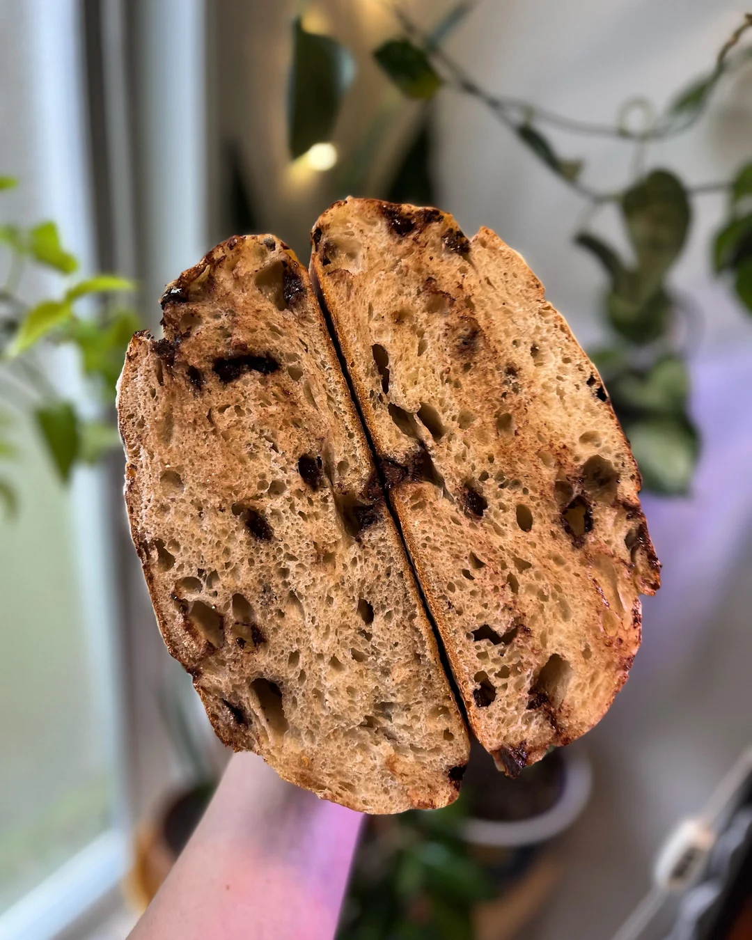 Chocolate chip sourdough 🥲 | Scrolller