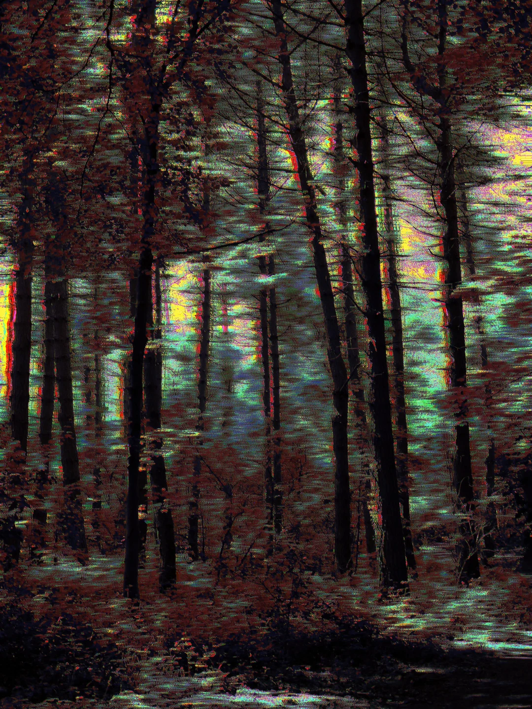 Discover more like UnusualArt: [3456x4608] 'Emerge' [OC] and Related ...