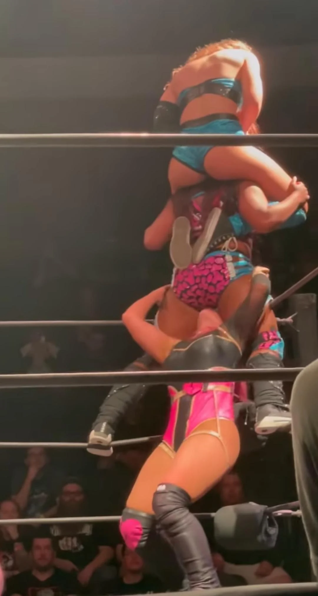 Wrestling train 😅 | Scrolller