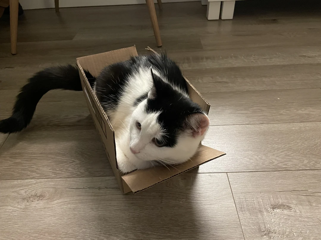 In the Sephora box | Scrolller