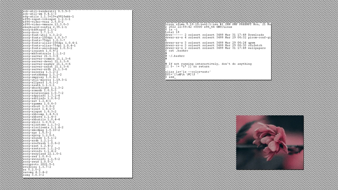 [qpwm] another old school rise | Scrolller