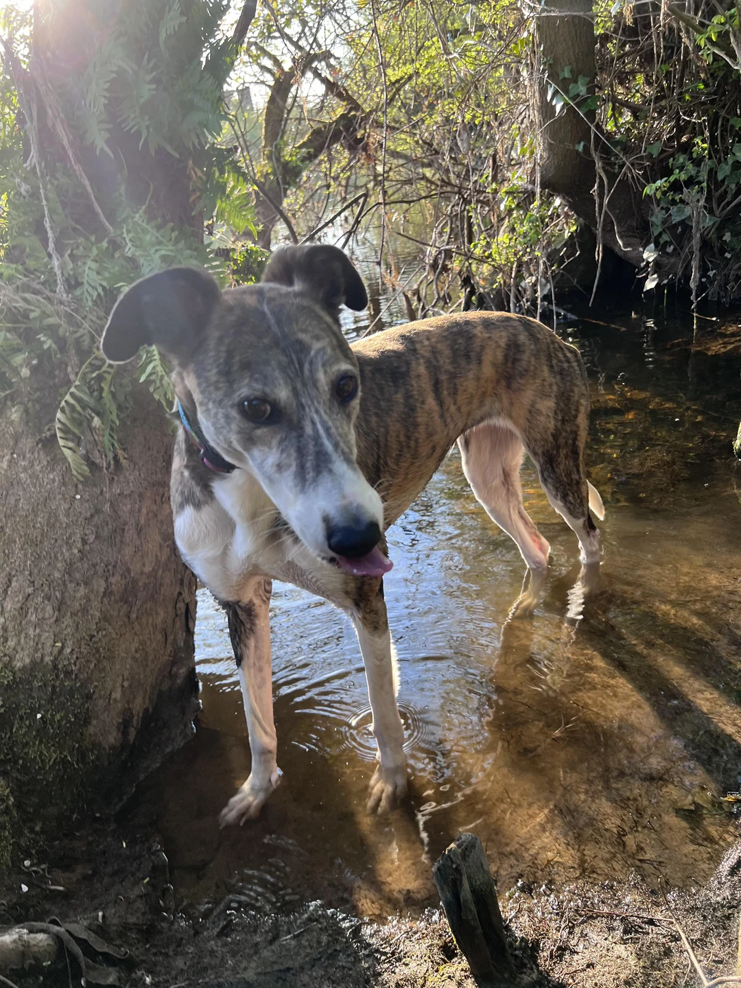Her favourite cooling off spot. | Scrolller