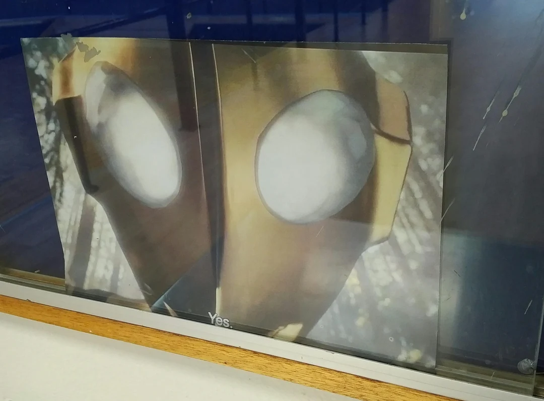 Four week update: Zoffy is still behind the noticeboard | Scrolller