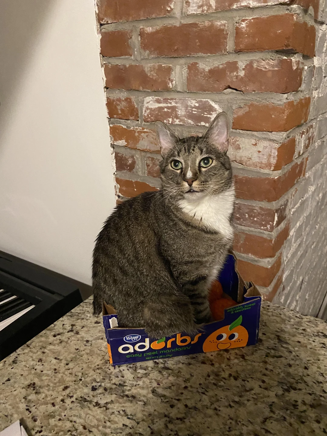 Strike a pose | Scrolller