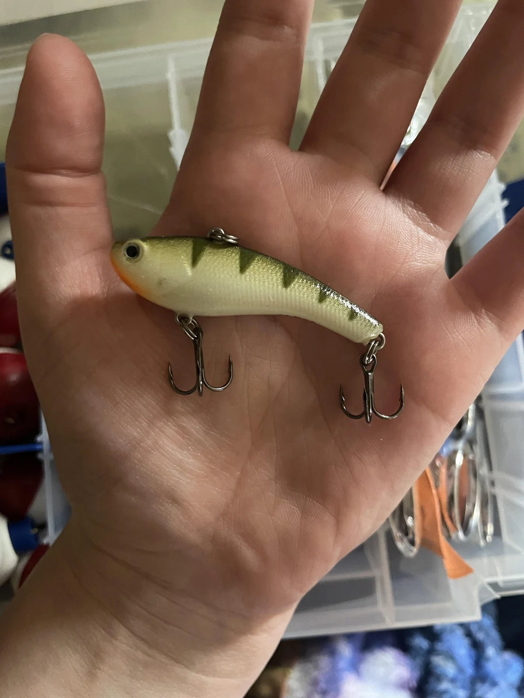 What can i catch with this type of lure? | Scrolller