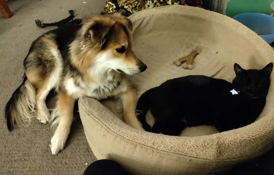 Trying so hard to decide how to feel... | Scrolller