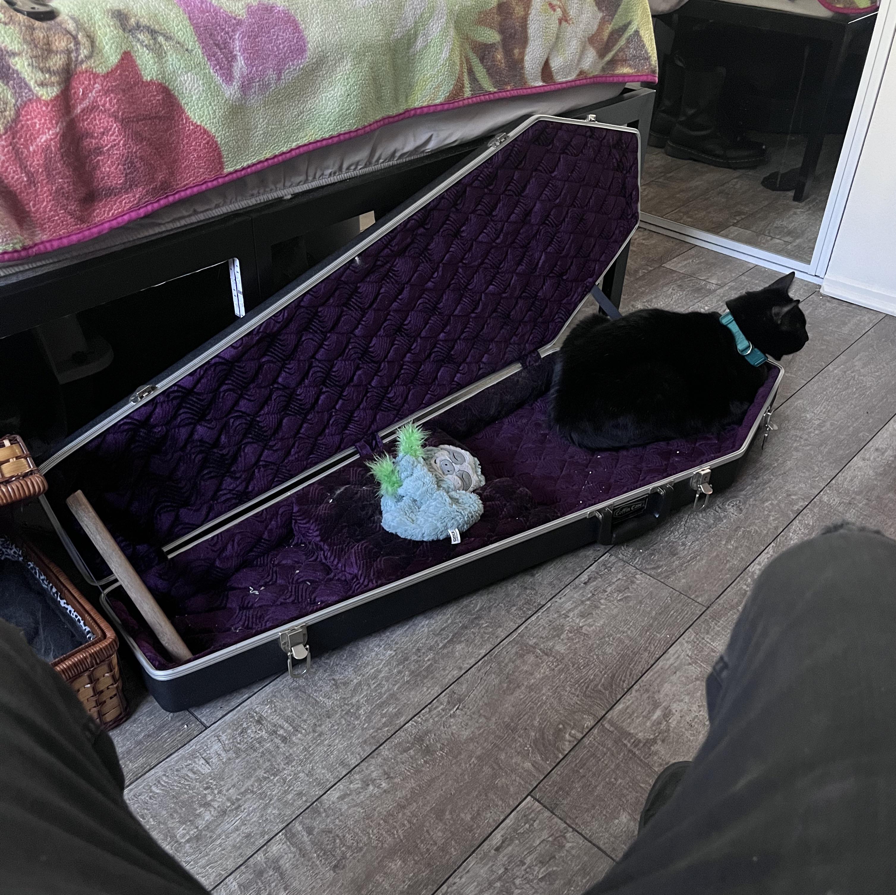 My boy in his coffin. His name’s Chamuco. | Scrolller