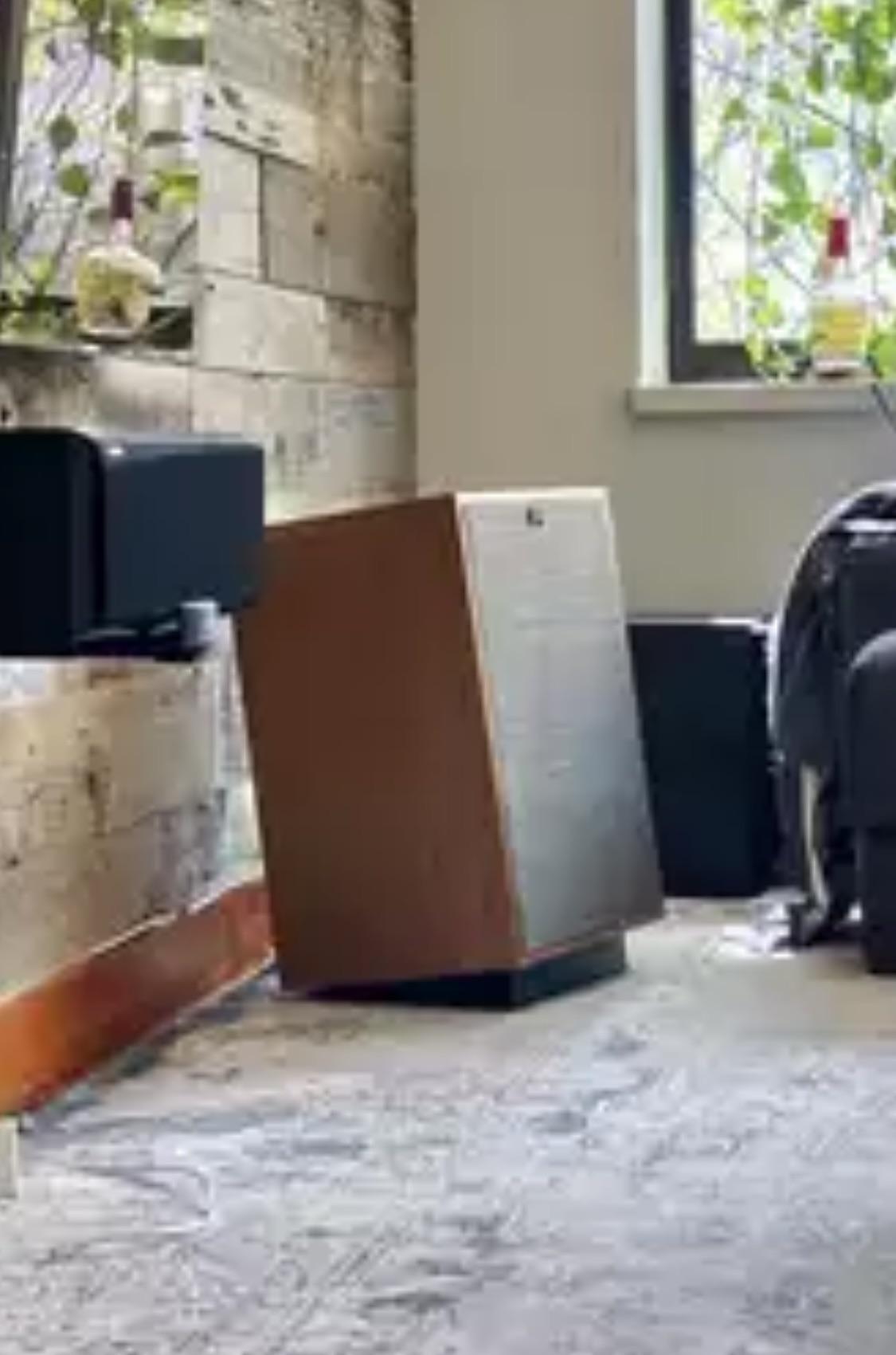 What about these stands? | Scrolller