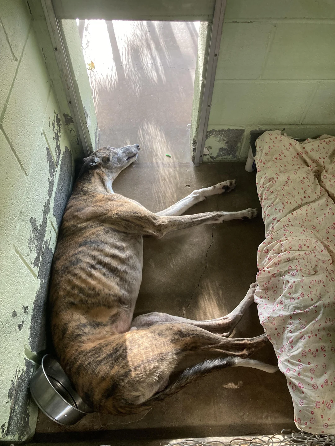 A bed fail is limited not by the size of your space, but the size of your ambition 😎 | Scrolller