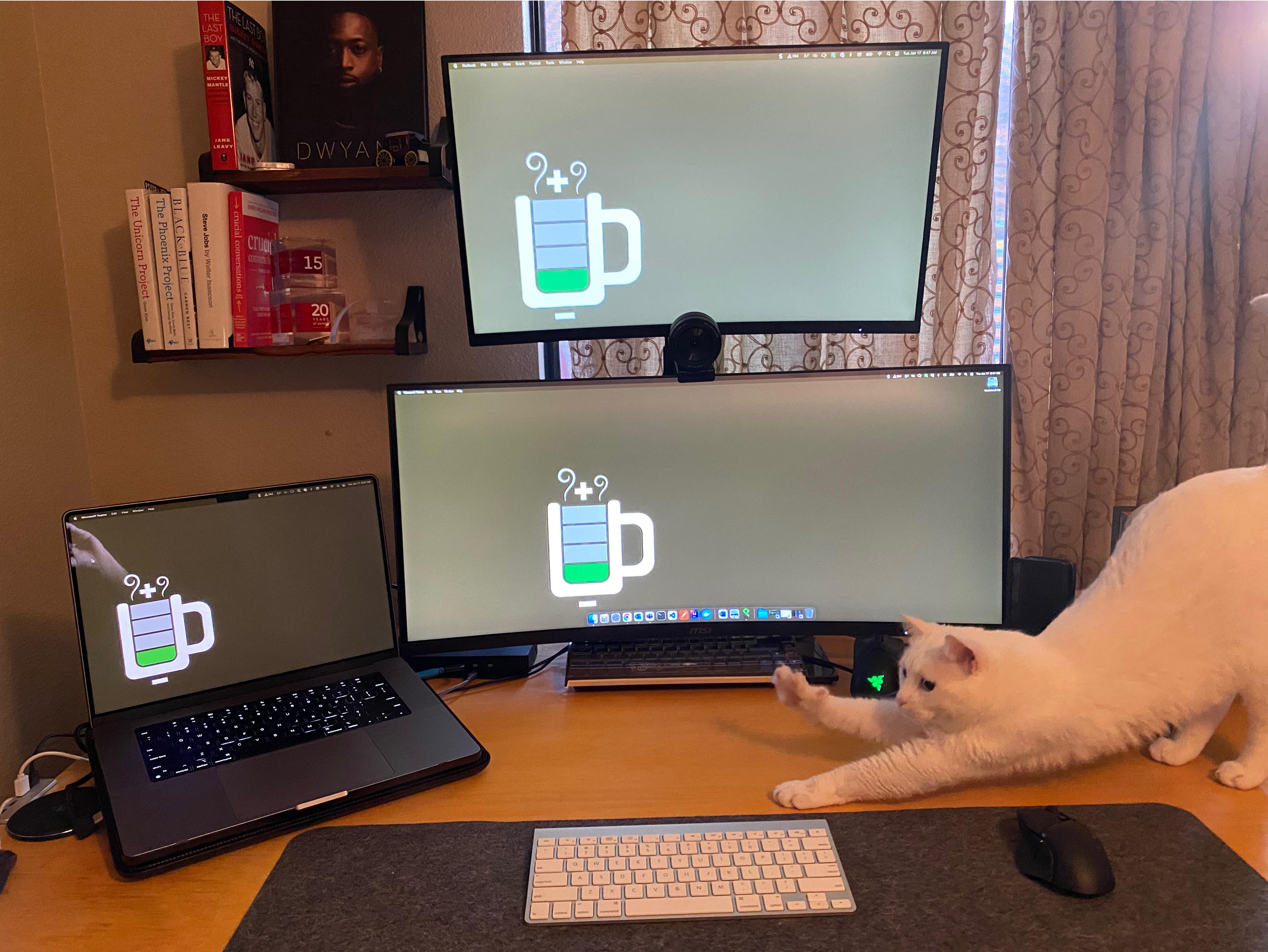 Marshmallow Approved - MBPro setup | Scrolller