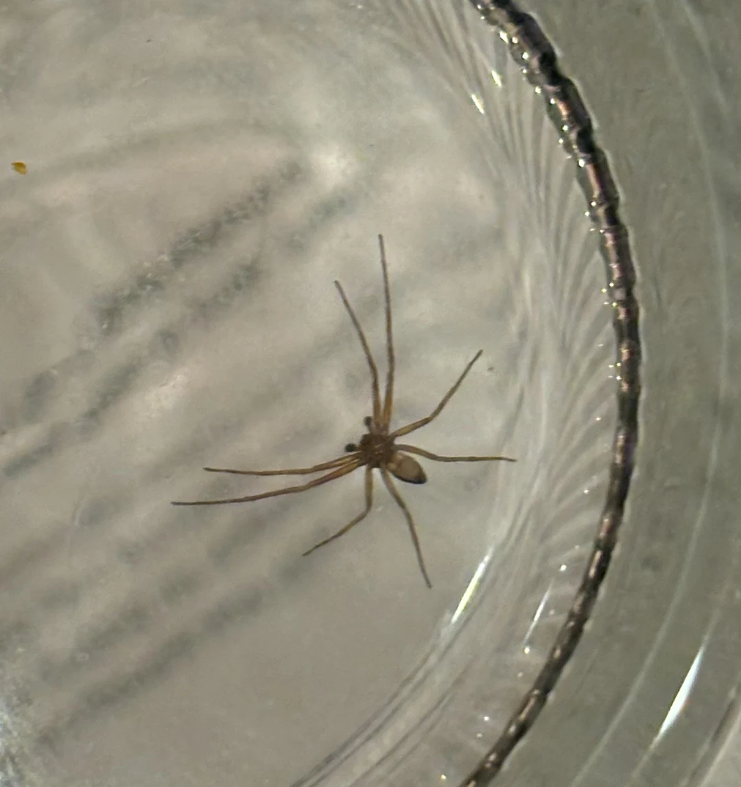 Help Identifying (PA) | Scrolller