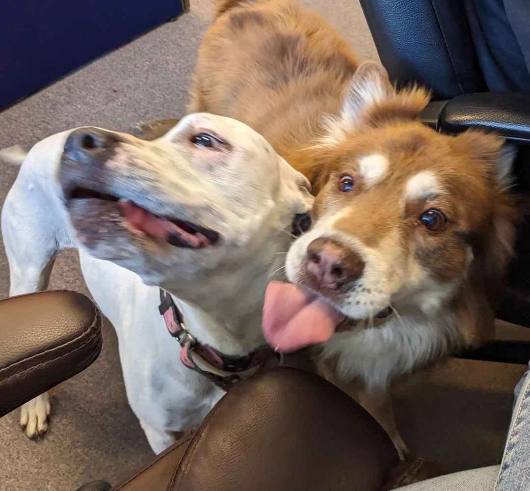 Double Derp | Scrolller