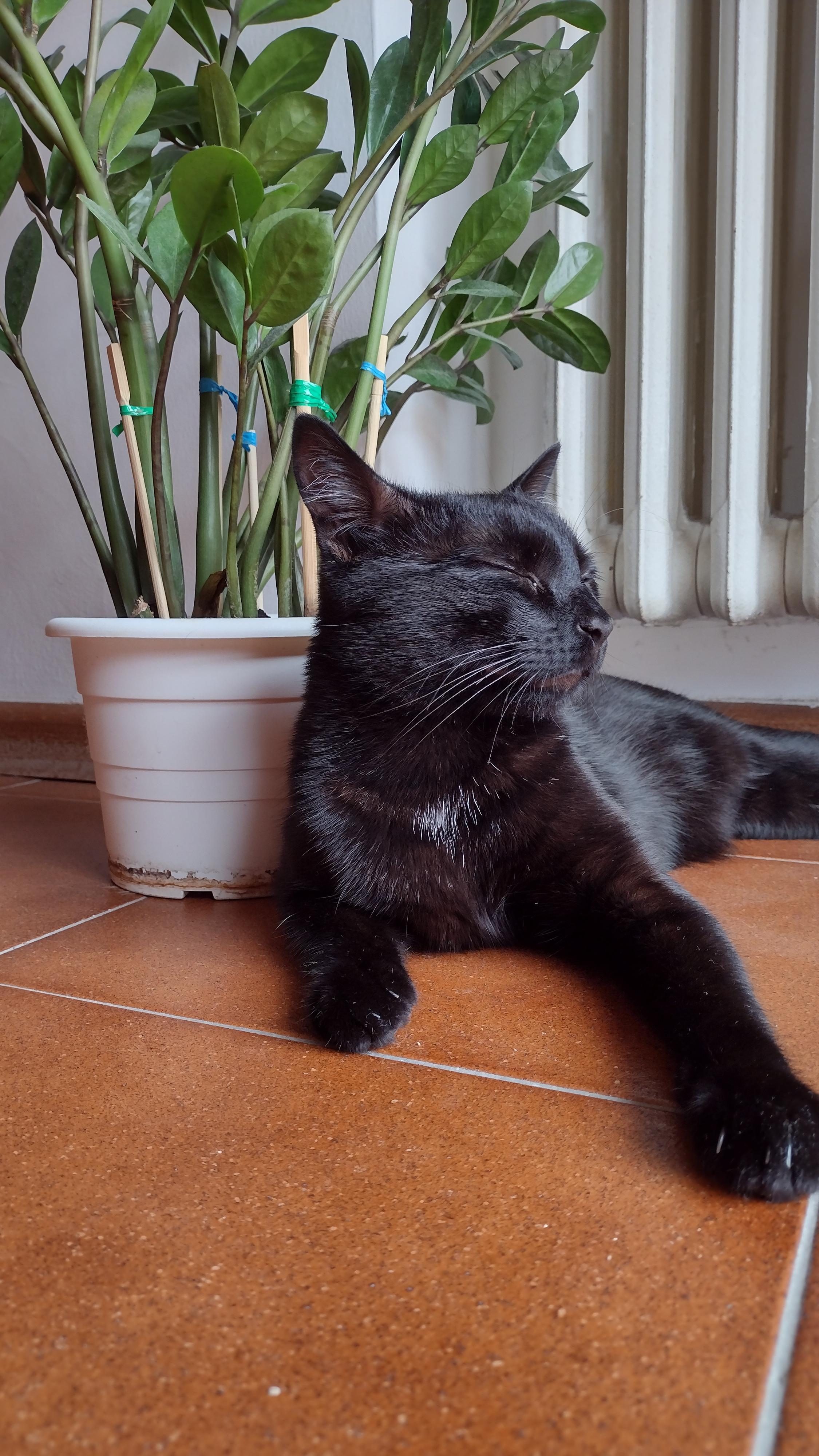 Chilling in the summer breeze | Scrolller