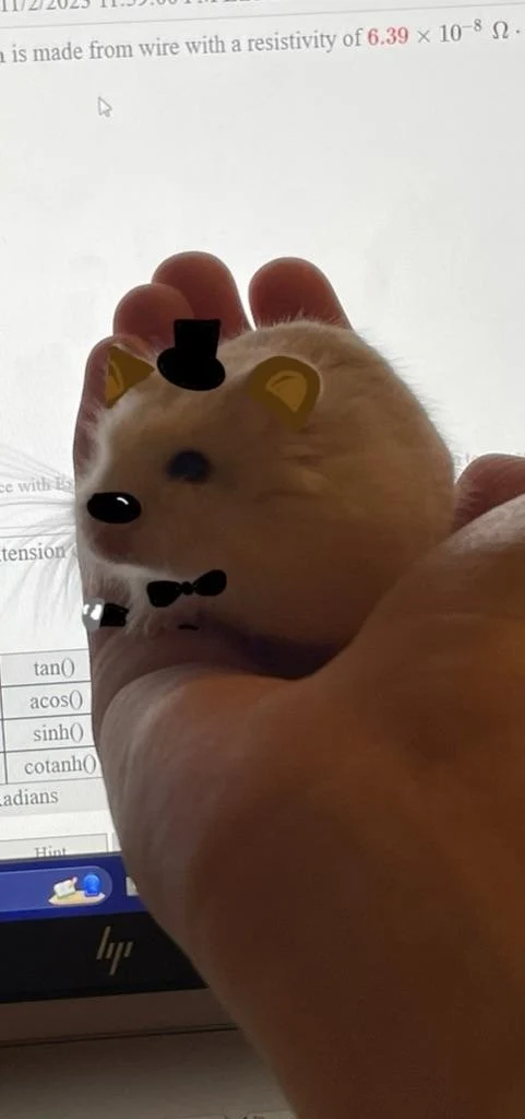 Freddy FazHamster | Scrolller