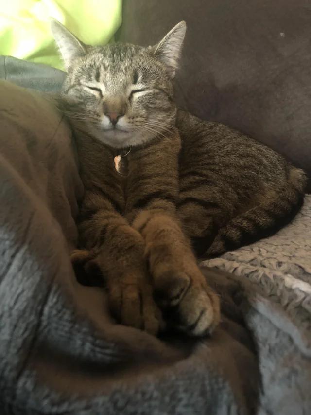 Resting Noodle, Hidden Dragon | Scrolller