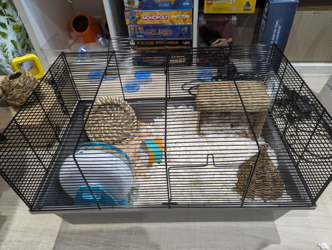 Temp cage setup | Scrolller