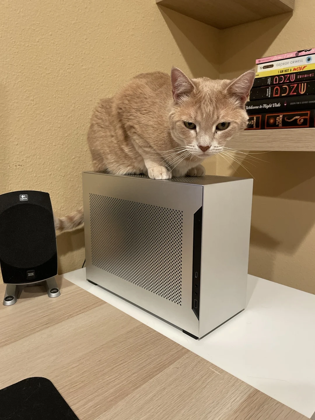 Finally embracing the SFF life | Scrolller