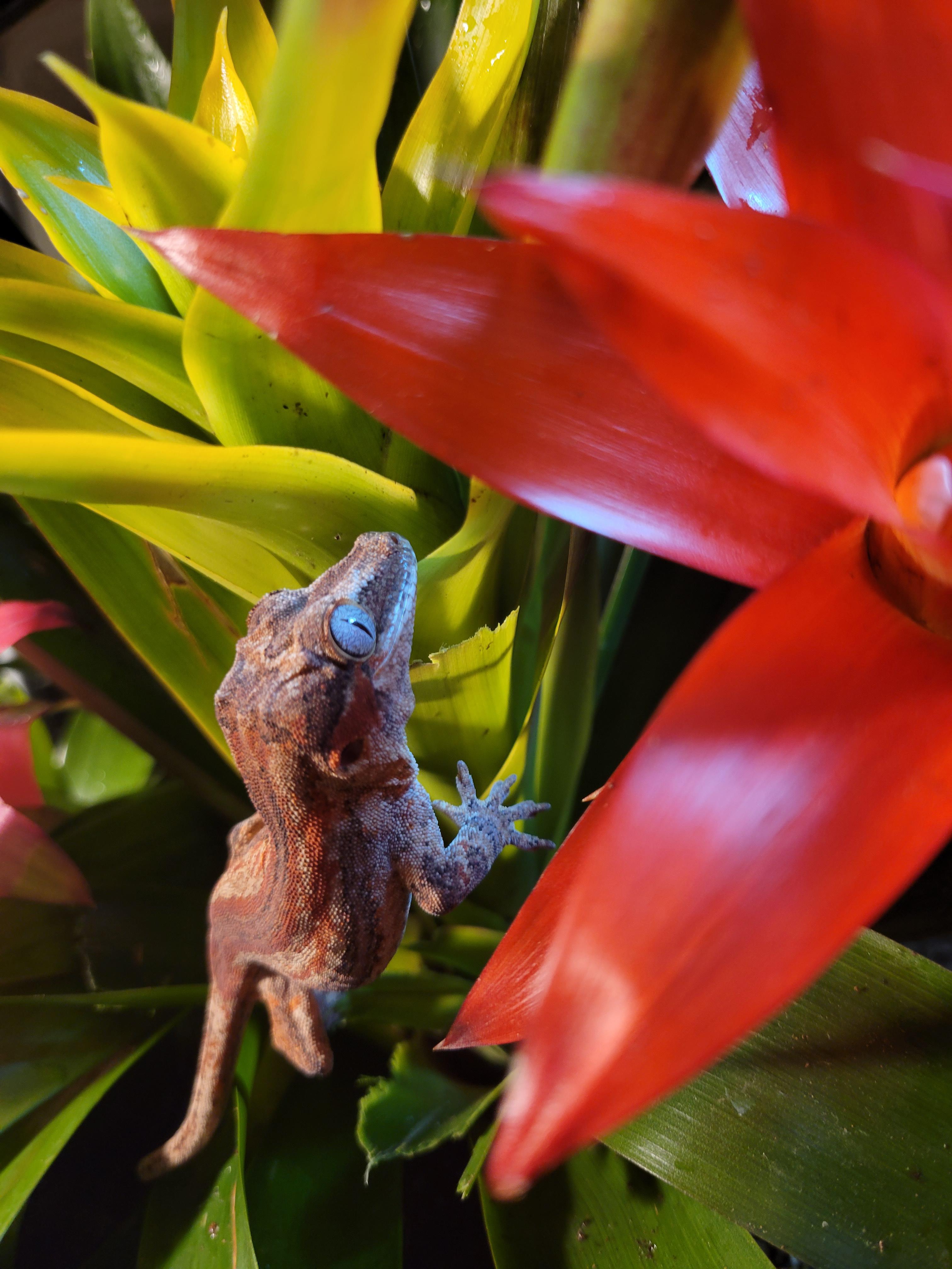 Showing you them Claws! | Scrolller