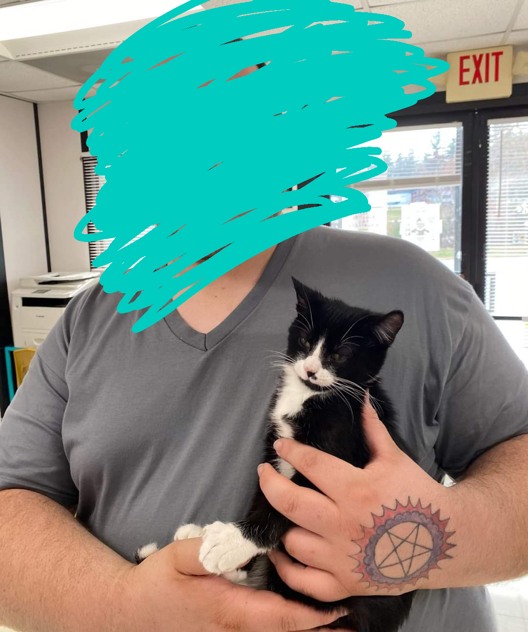 Theodore | Scrolller