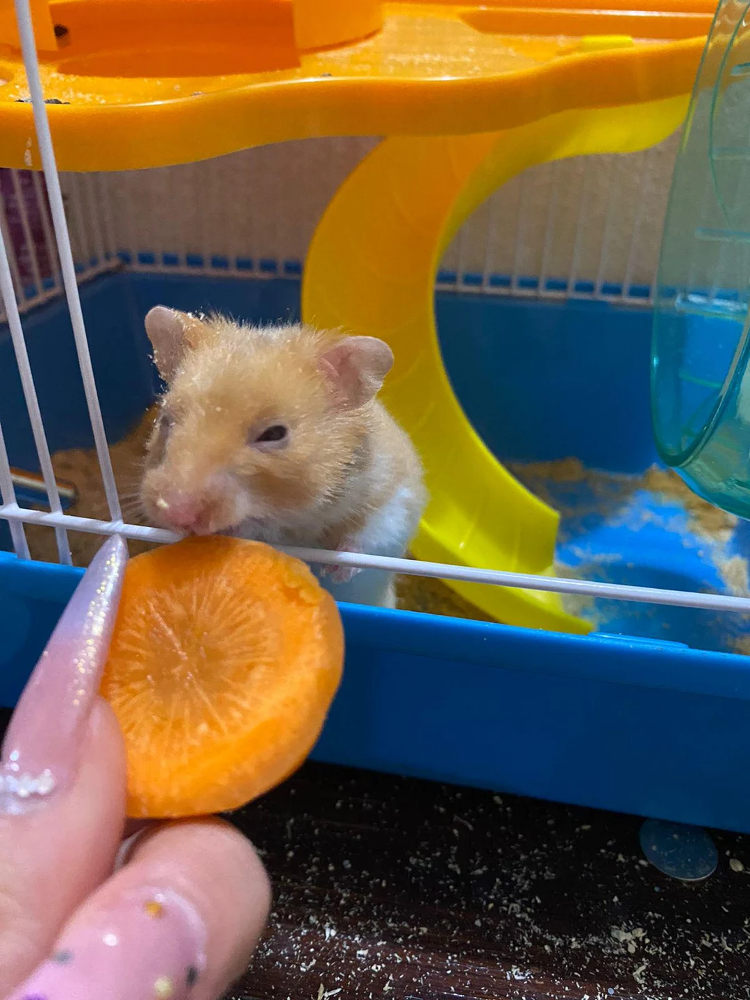 My little Copita. So tiny. | Scrolller