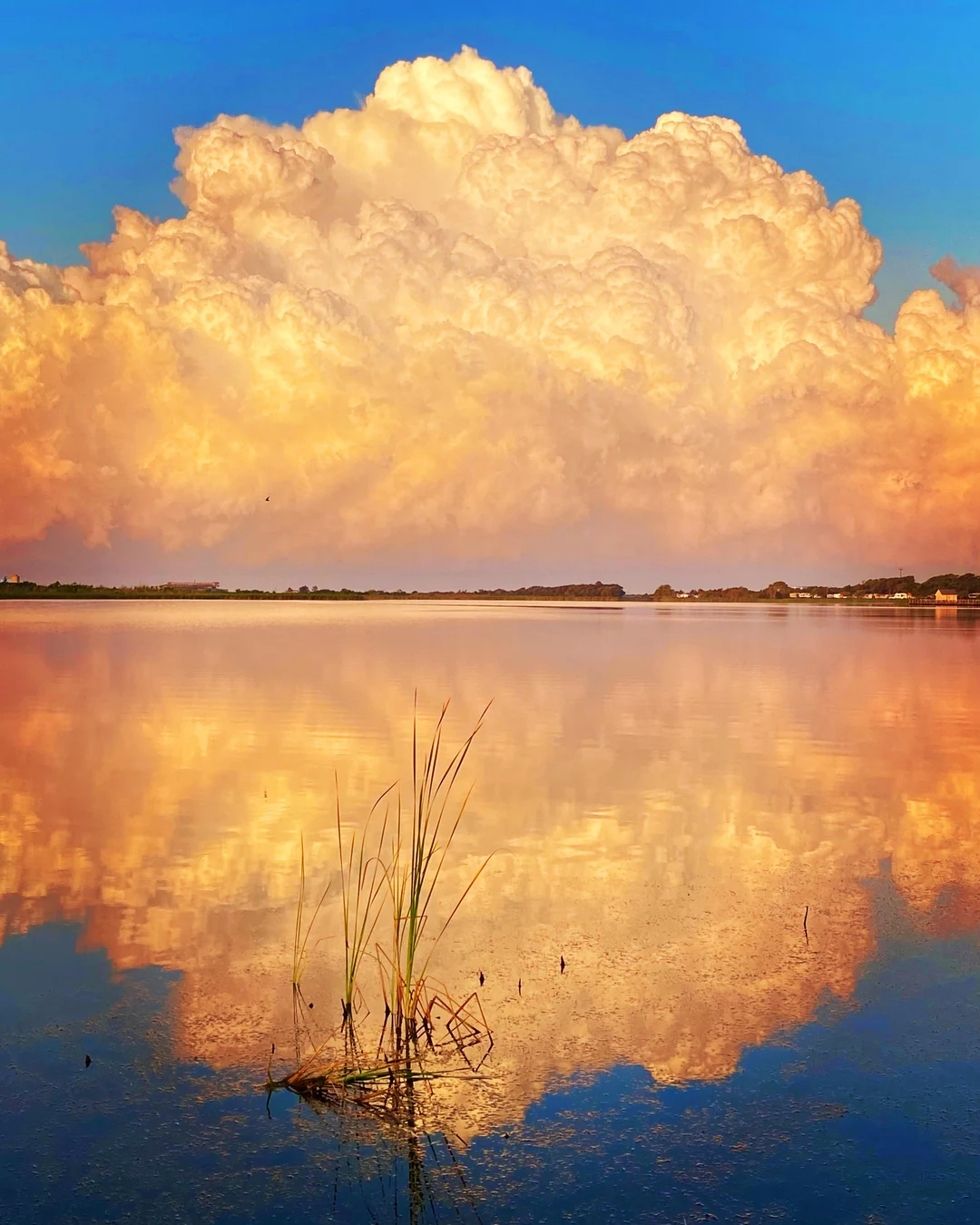 Thunderstorm in Morning Light | Scrolller