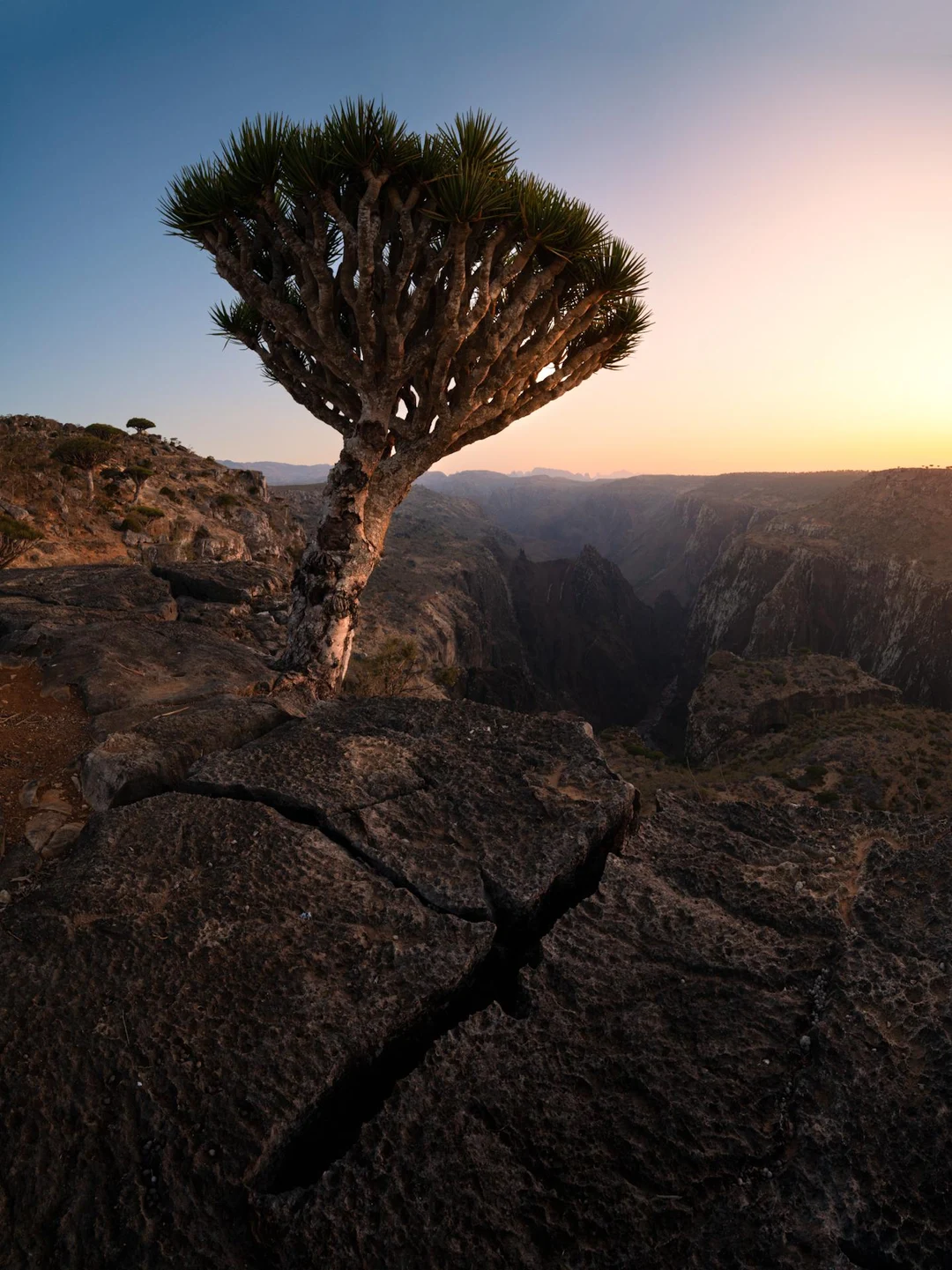 Socotrian landscape [1920x1439, OC, Yemen Socotra Island] | Scrolller