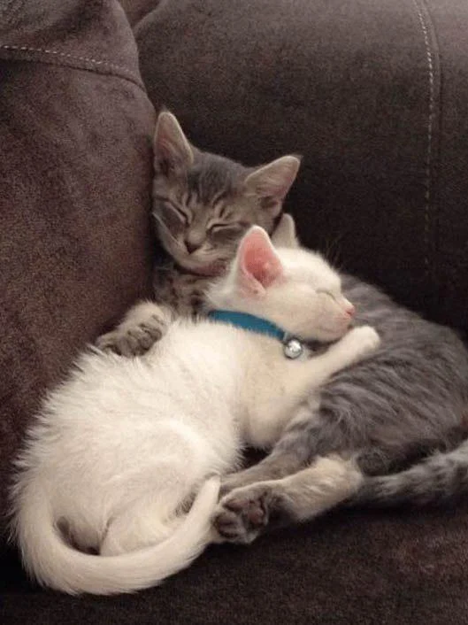 Brother and sister my 2 cuties | Scrolller