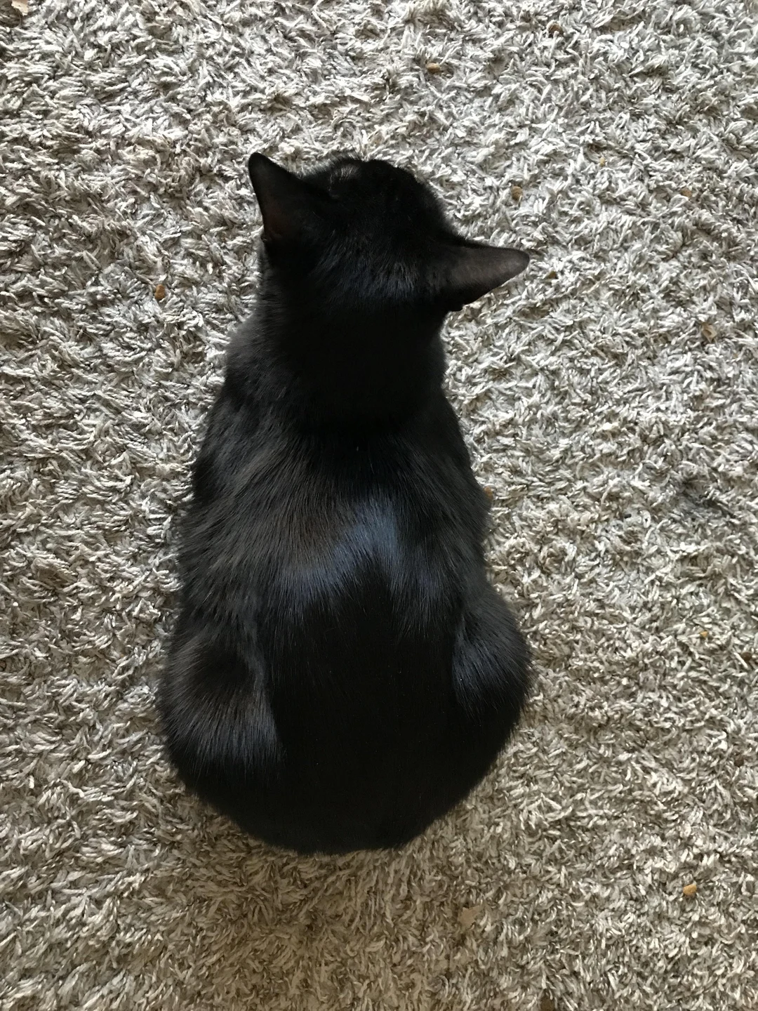 Void loaf from above | Scrolller