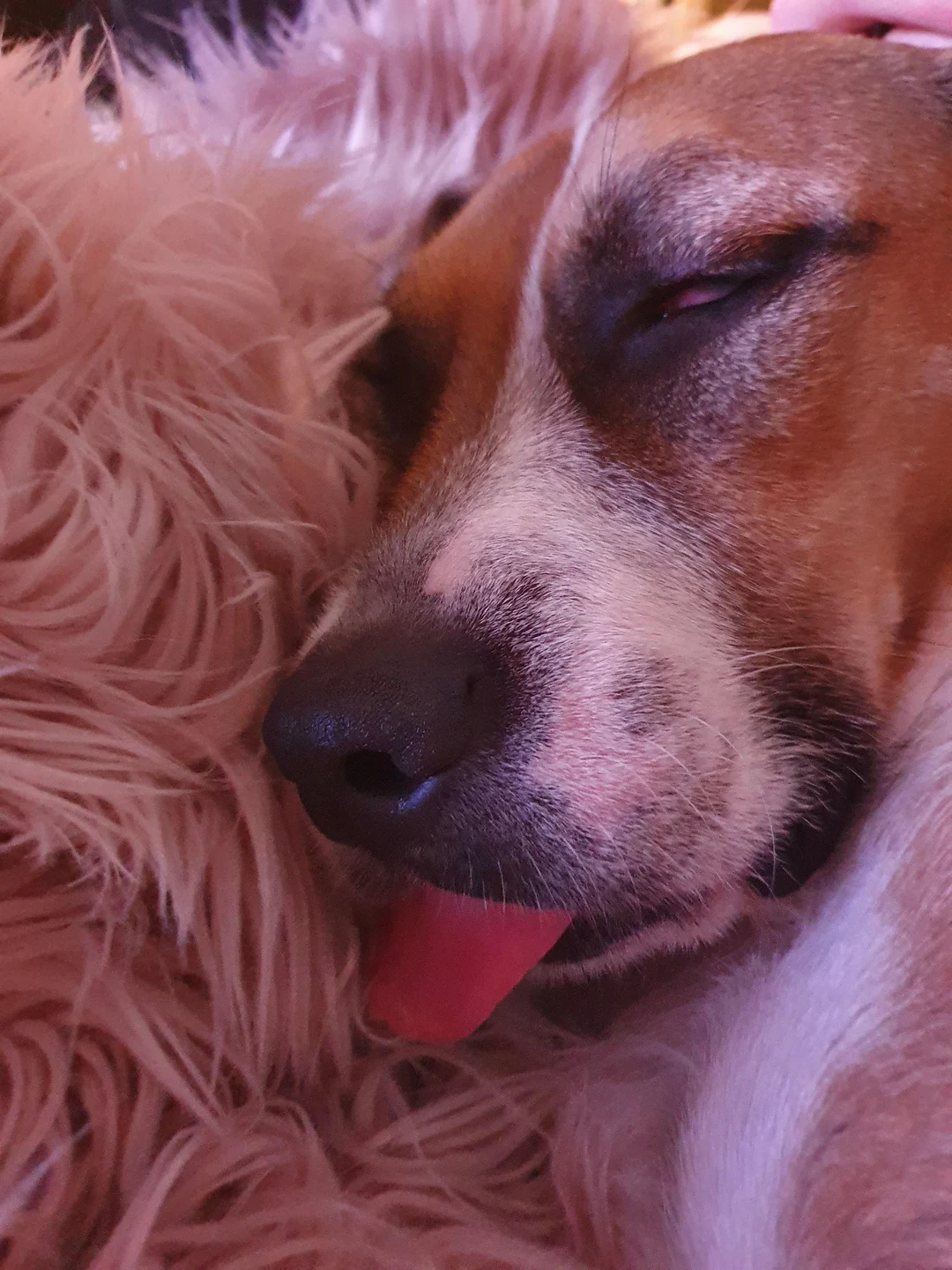 She slep with a mlep | Scrolller